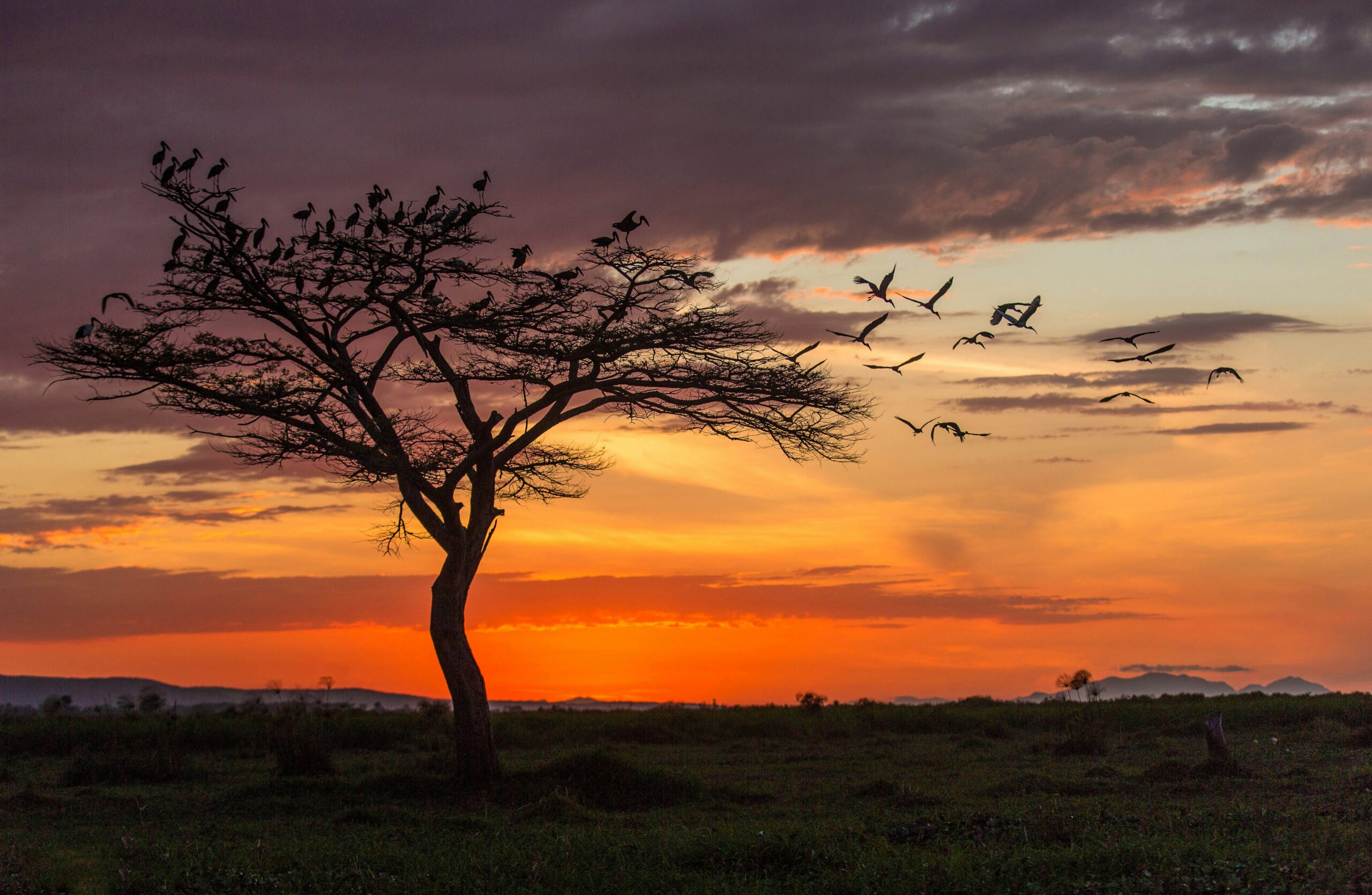 Ubuntu in Action: The Gusii Community’s Blueprint for Collective Well ...
